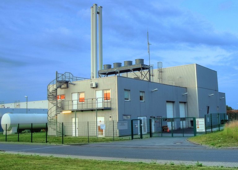 La biomasse, la potentielle source d'énergie de demain. - eenovation